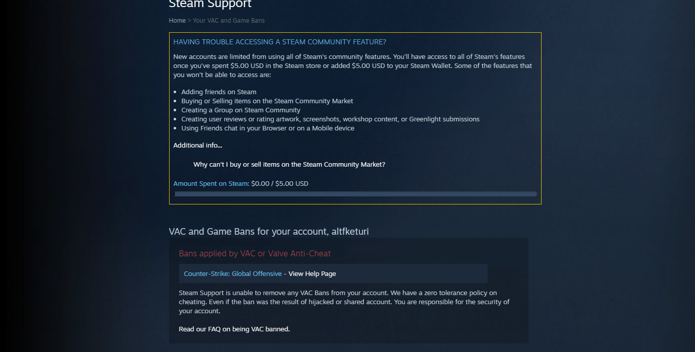 Selling - Steam account with rust 18hours played/Csgo vac banned 5 ...