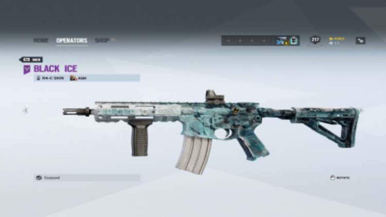 Selling - R6 account with rare items for $150-300 | EpicNPC Marketplace